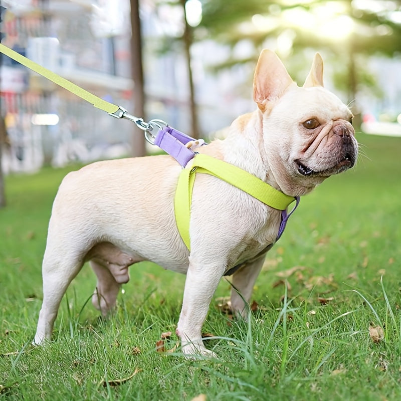 Ultra Secure Rainbow Anti-Escape Dog Harness – IB Pet Store