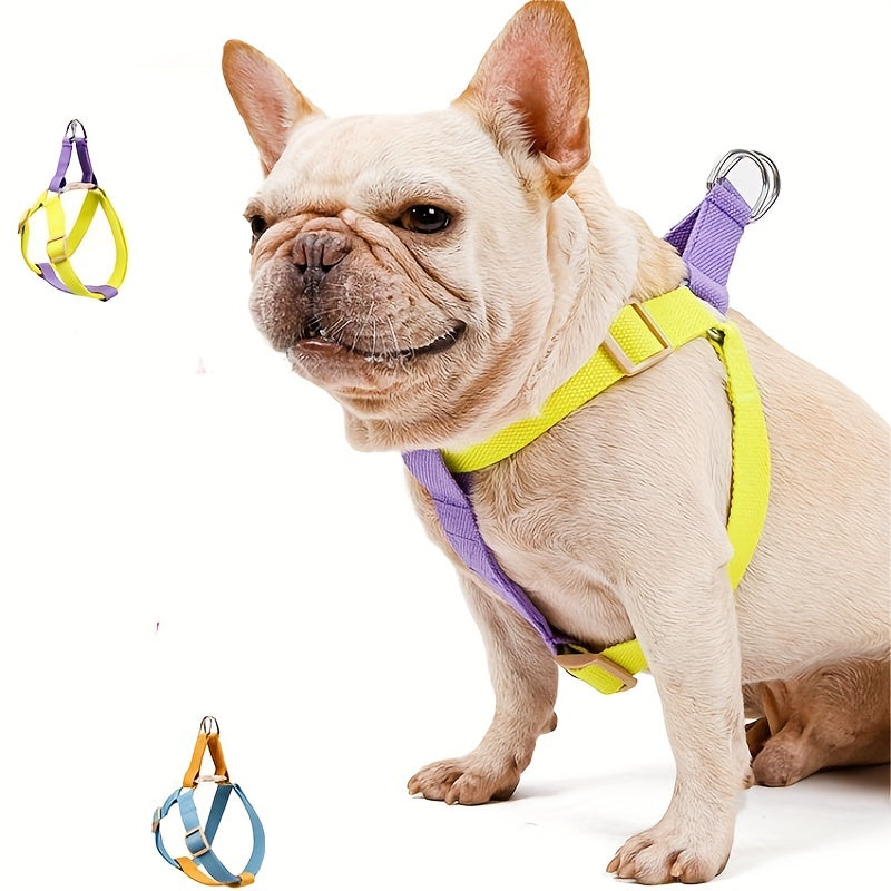 Ultra Secure Rainbow Anti-Escape Dog Harness – IB Pet Store